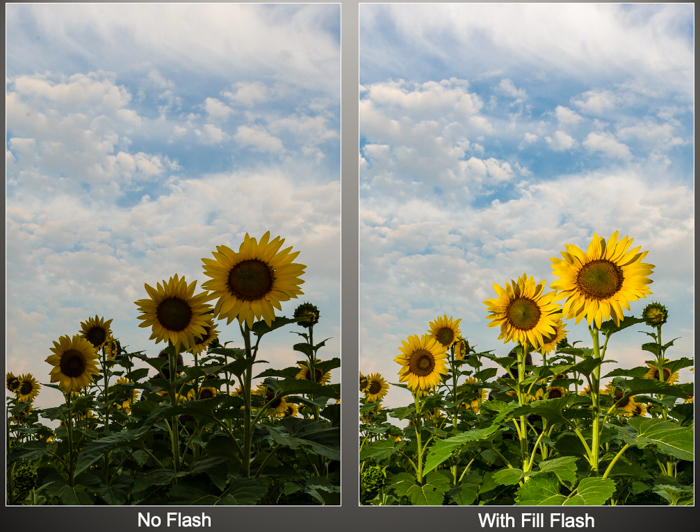 Capital Photography Center Blog | Summer Photos With Fill Flash